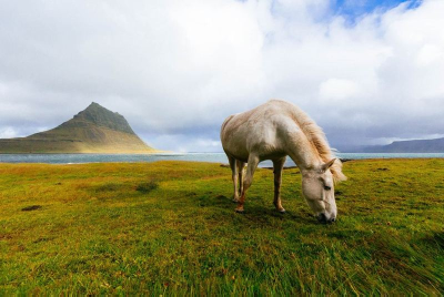 Detecting Doctored Photos with Lunapic – LunaPic Photo Editor Help Blog